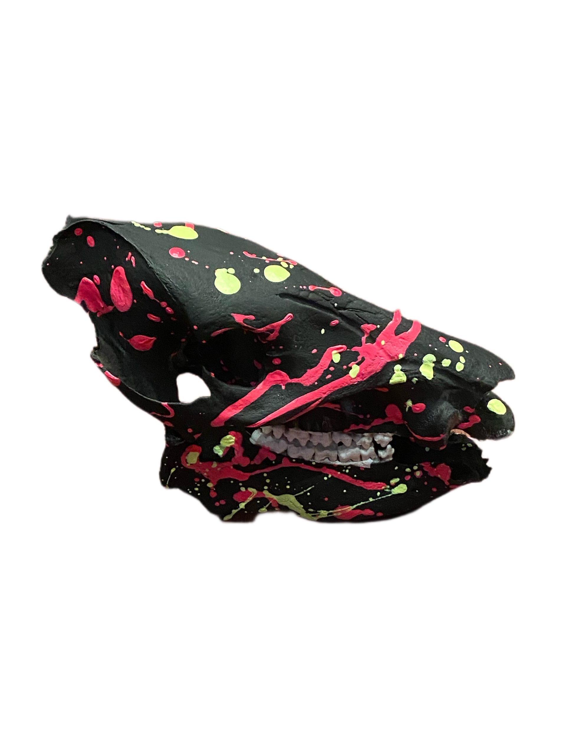 Chispa Interior | FABIOLA RUBIO