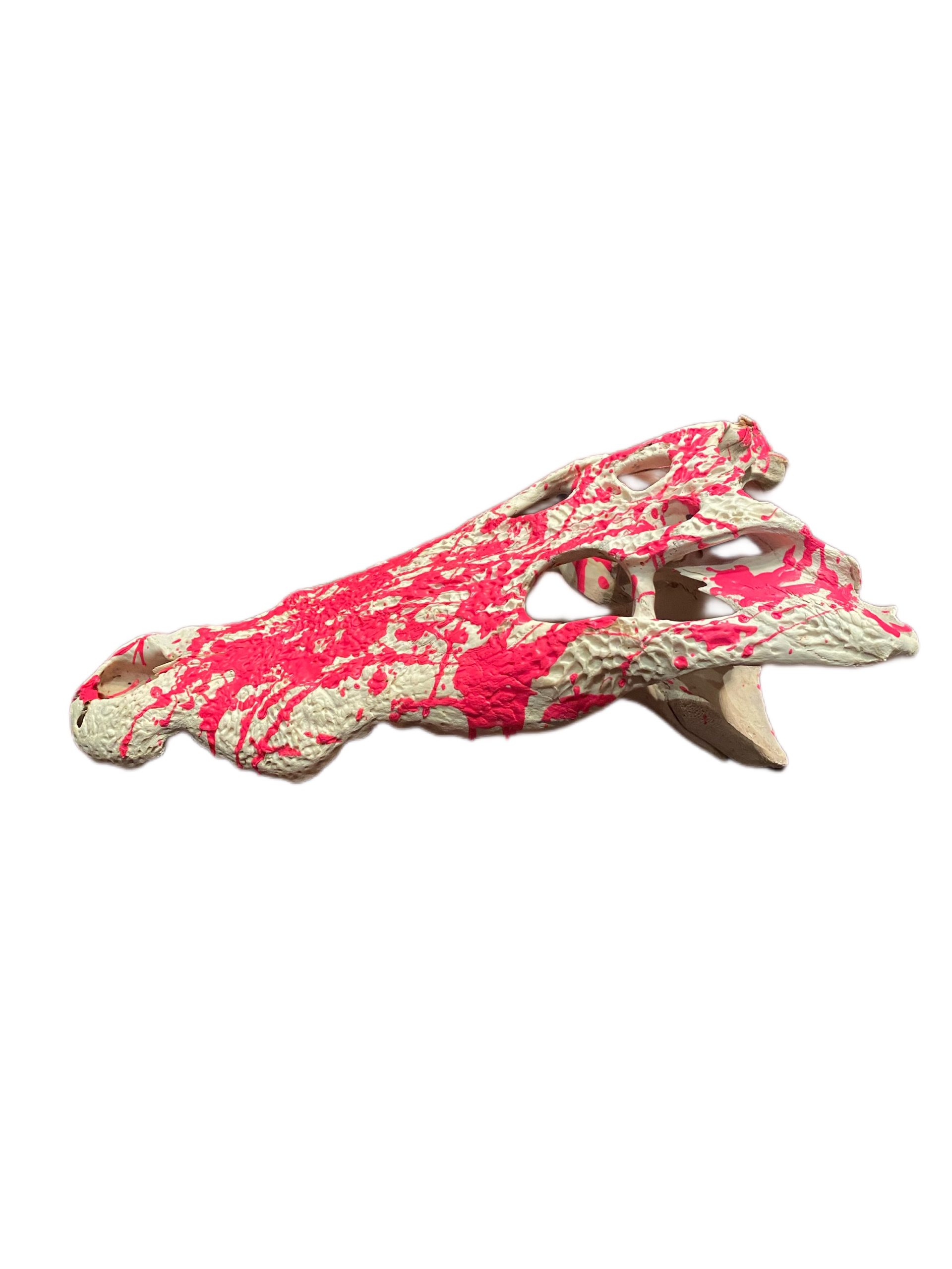 Gamma Velorum | FABIOLA RUBIO