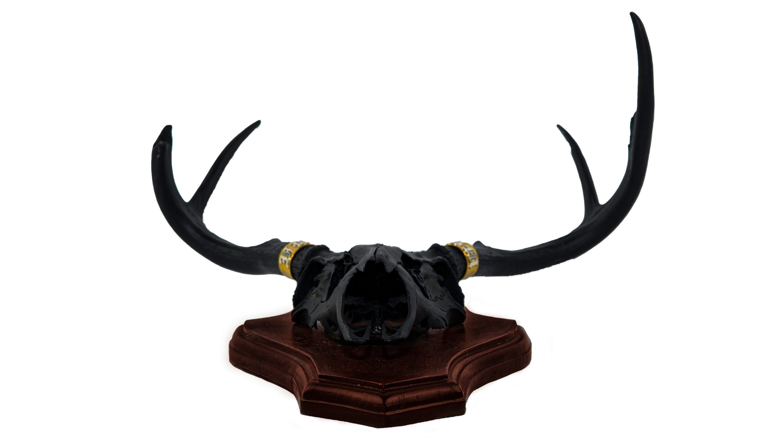 La Cuerna del Ciervo | FABIOLA RUBIO