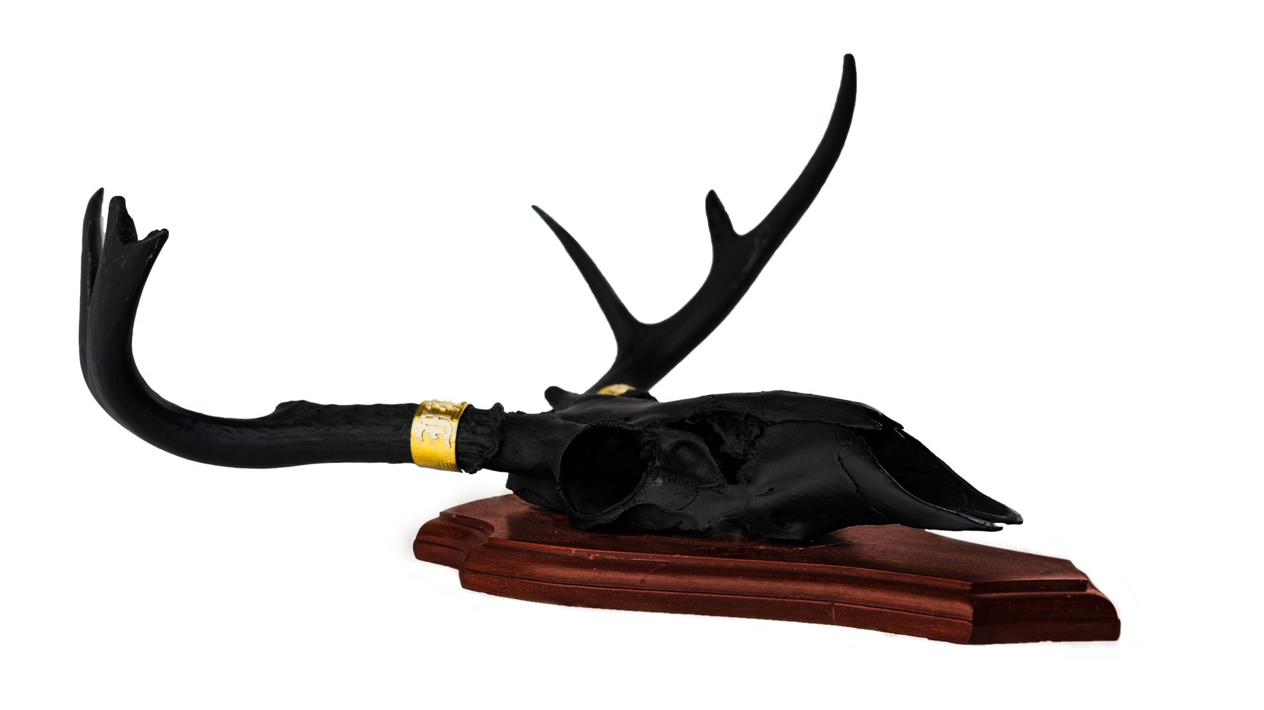 La Cuerna del Ciervo | FABIOLA RUBIO