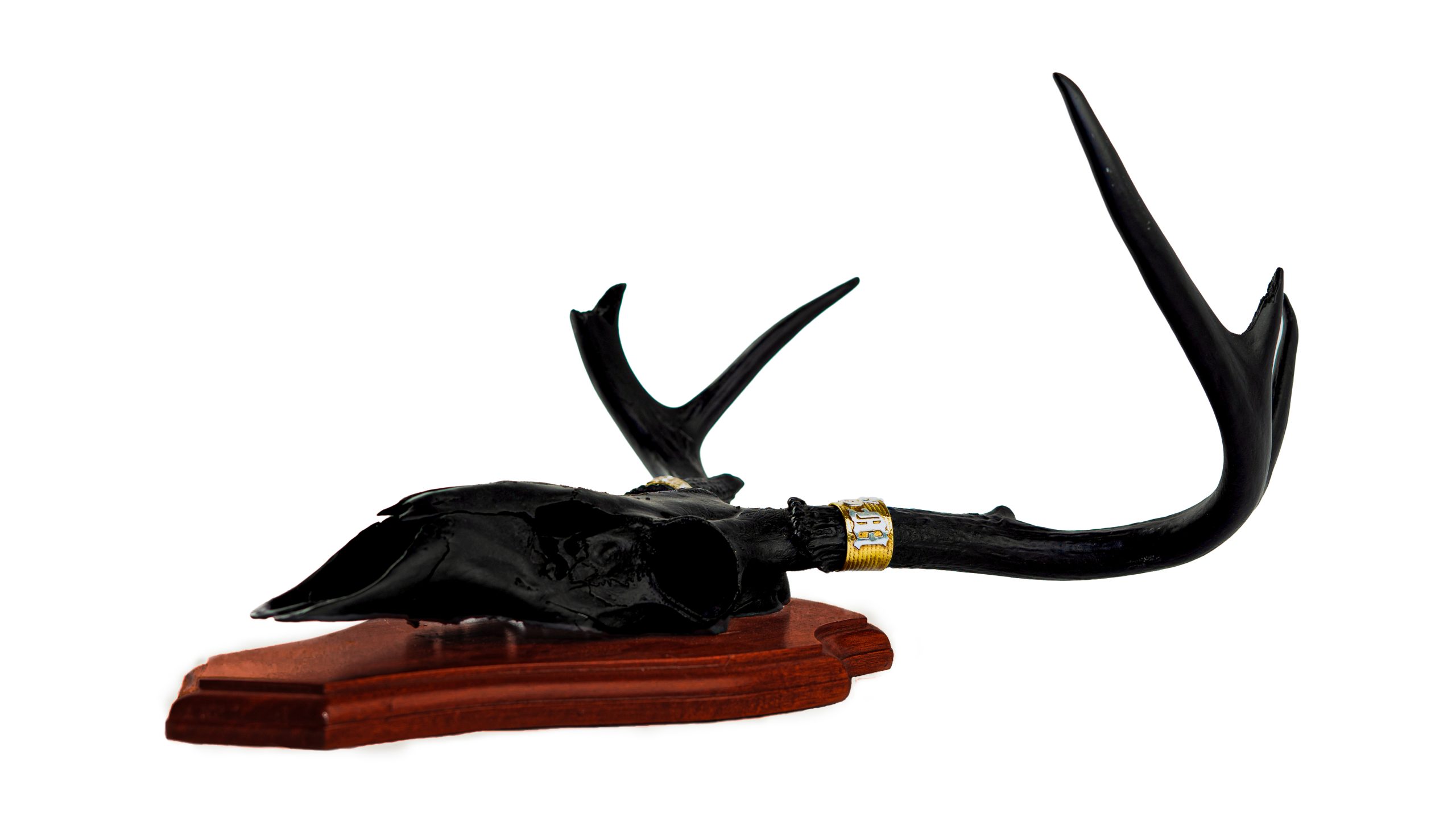 La Cuerna del Ciervo | FABIOLA RUBIO