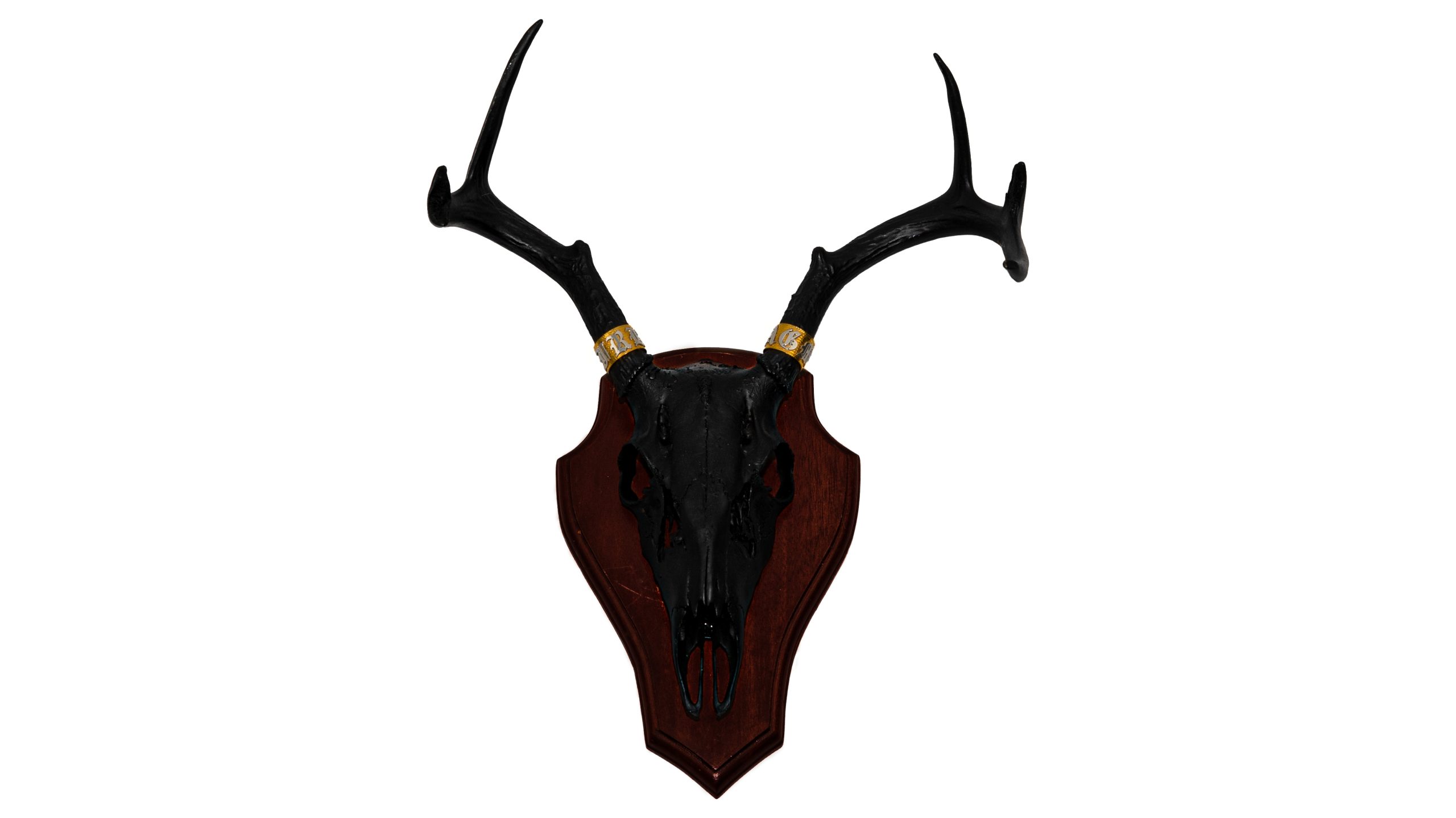 La Cuerna del Ciervo | FABIOLA RUBIO